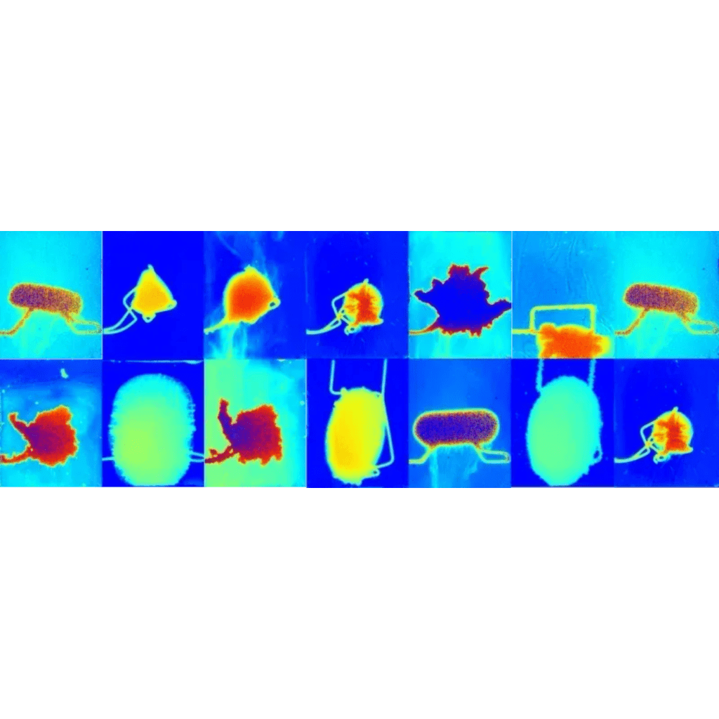 SDi2 – Flowscience Instruments